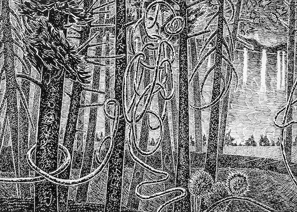 Philippe Raphanel | Artists | Equinox Gallery