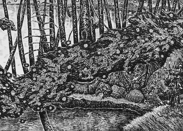 Philippe Raphanel | Artists | Equinox Gallery