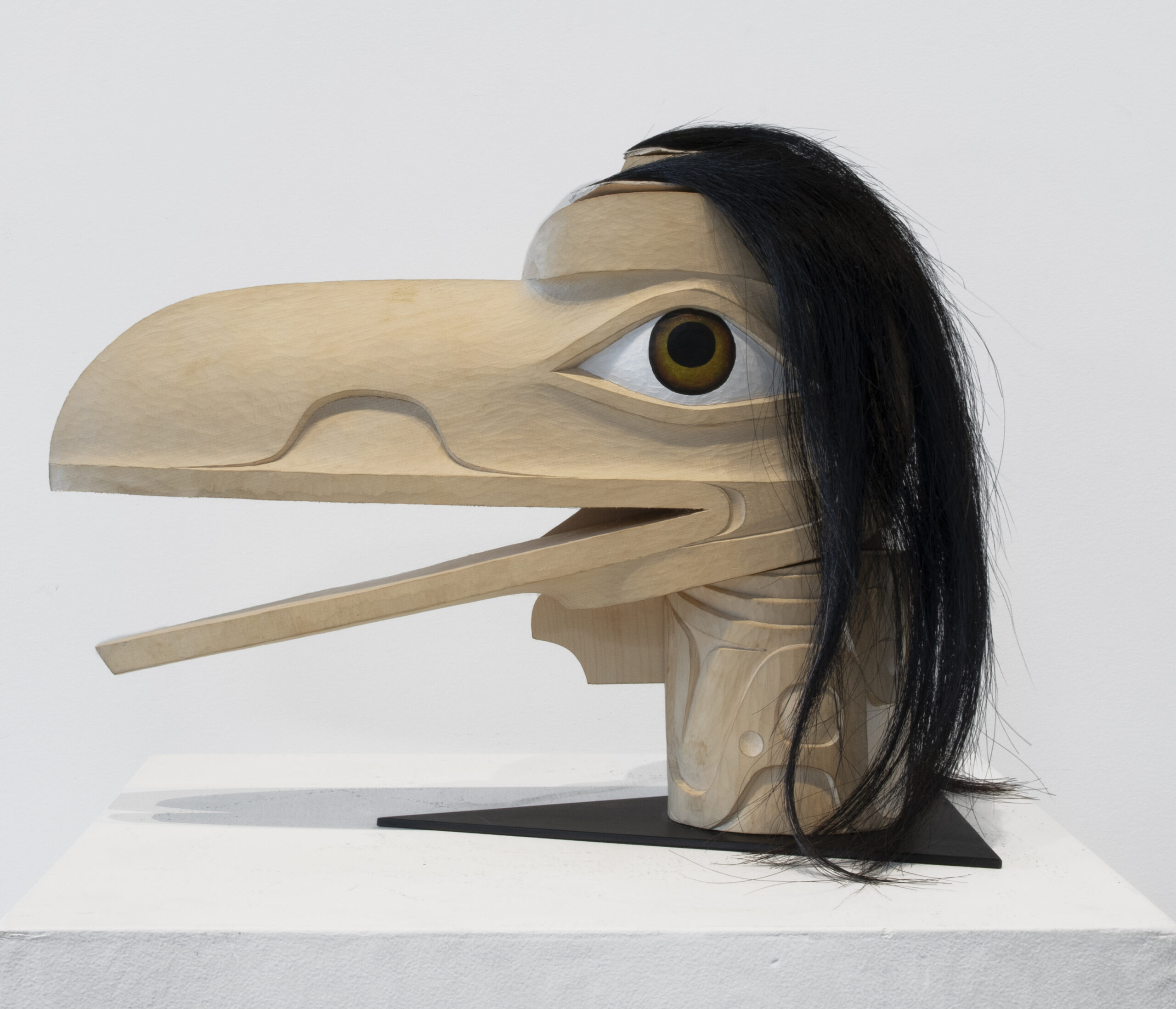 Shawn Hunt | Artists | Equinox Gallery