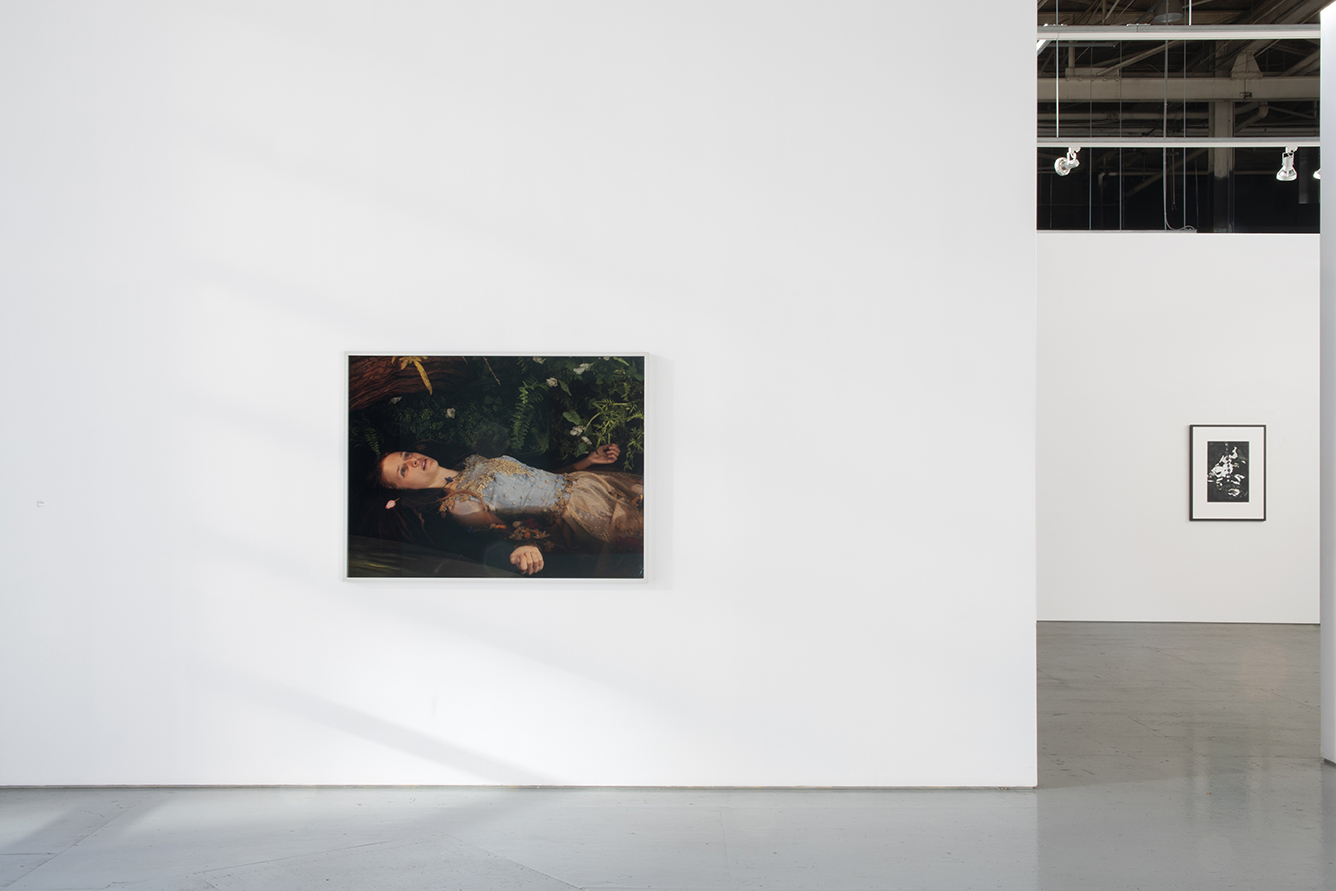 Adad Hannah | Artists | Equinox Gallery